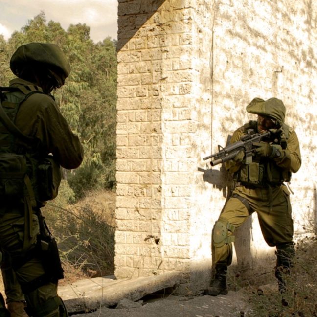 Marom Dolphin IDF Infantry Tactical Vest TV7711 | Zahal