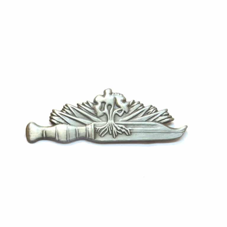 Israeli Military (IDF) Pins & Badges | ZAHAL